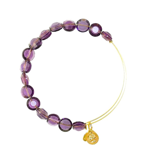 Alex and Ani | Jewelry | Alex And Ani Luxe Amethyst Gold Bracelet ...